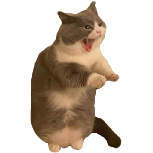 Sticker Maker - Gato :0