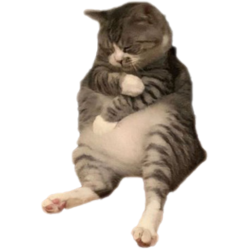 Sticker Maker - Gato :0