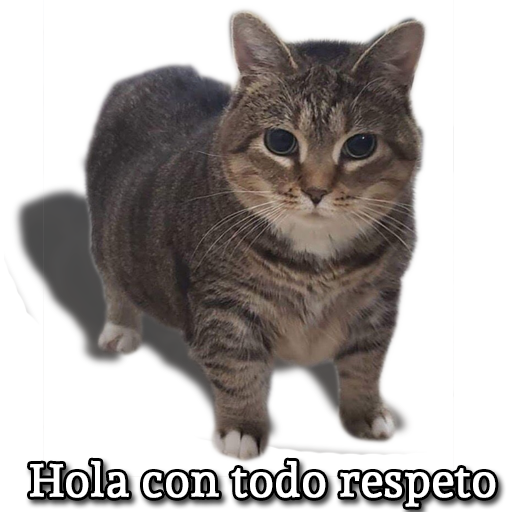 Sticker Maker - Gato :0