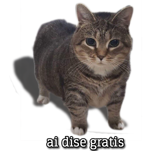 Sticker Maker - Gato :0