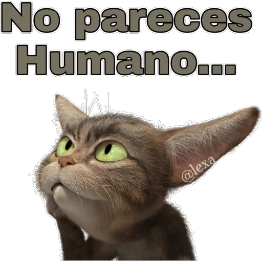 Sticker Maker - Gato feo