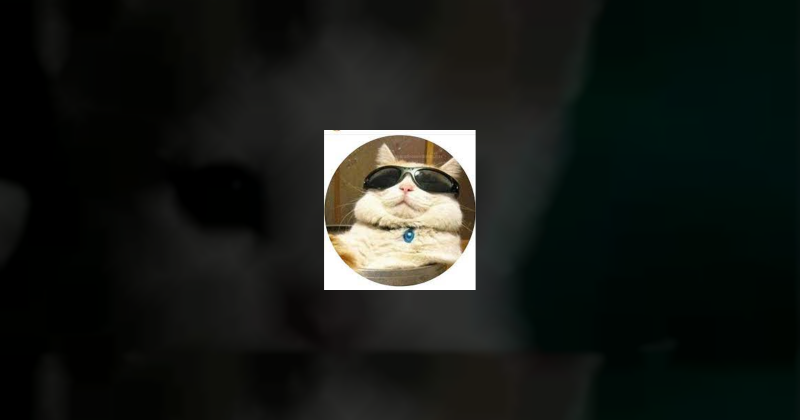 Sticker Maker - gato