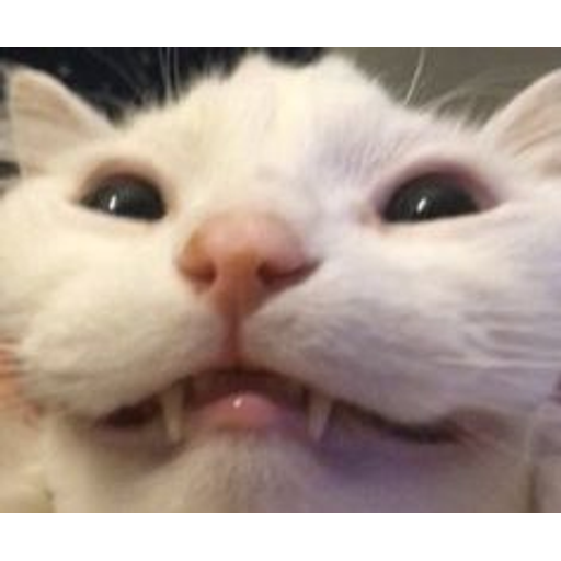 Sticker Maker - gato