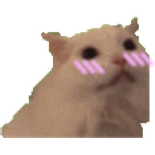 Sticker Maker - Gatos uwu