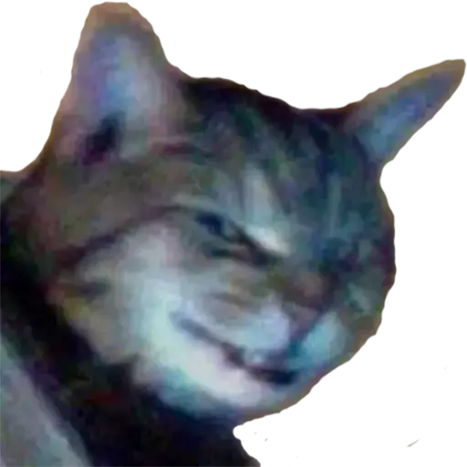 Sticker Maker - Gatos