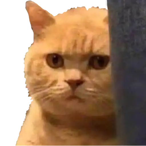 Sticker Maker - Gatos