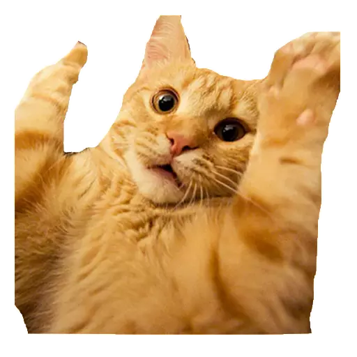 Sticker Maker - Gatos