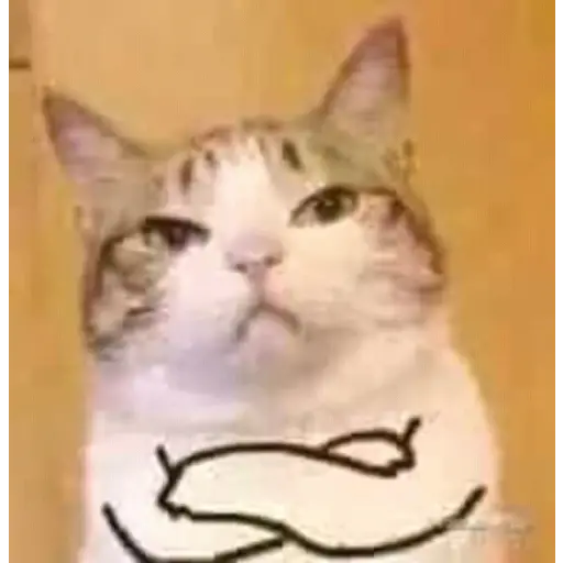 Sticker Maker - Gatos