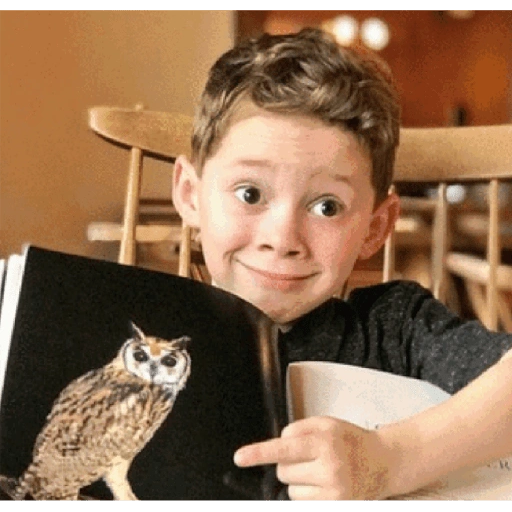 Sticker Maker - gavin thomas