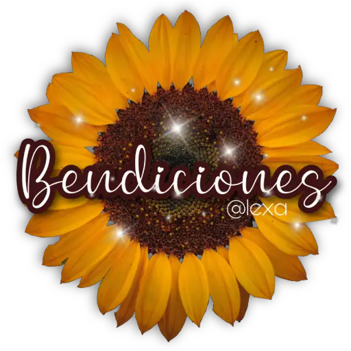 Sticker Maker - ? Girasoles?