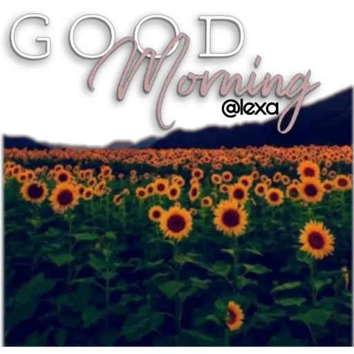 Sticker Maker - ? Girasoles?