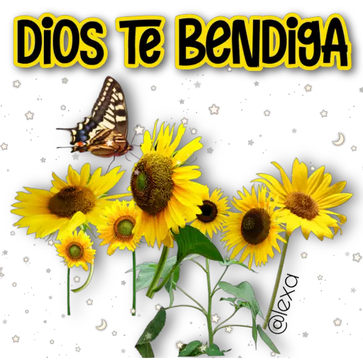 Sticker Maker - ? Girasoles?