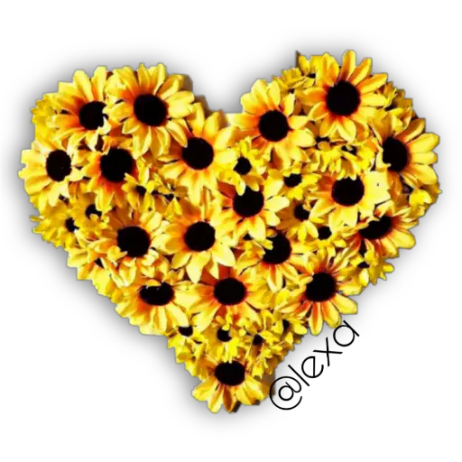 Sticker Maker - ? Girasoles?
