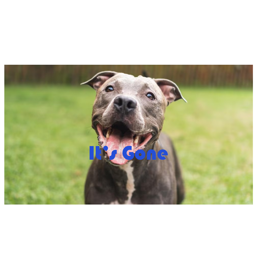 Sticker Maker - God's will