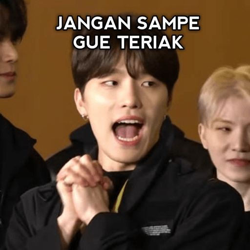 Sticker Maker - Going Seventeen #1