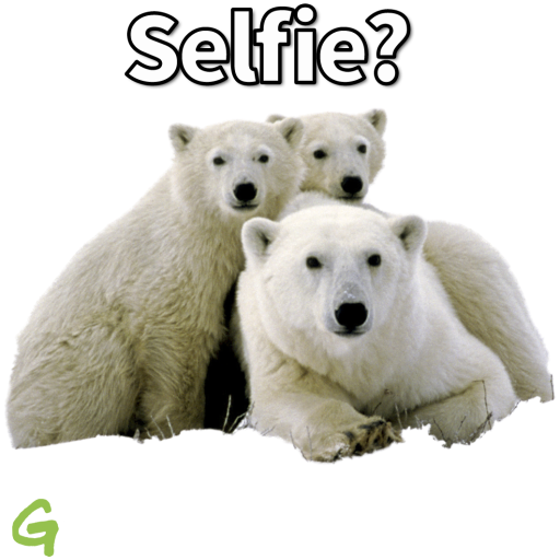 Sticker Maker - Greenpeace