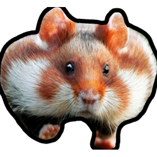 Sticker Maker - Hamsters Memes