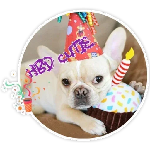 Sticker Maker - Happy Birthday SUM