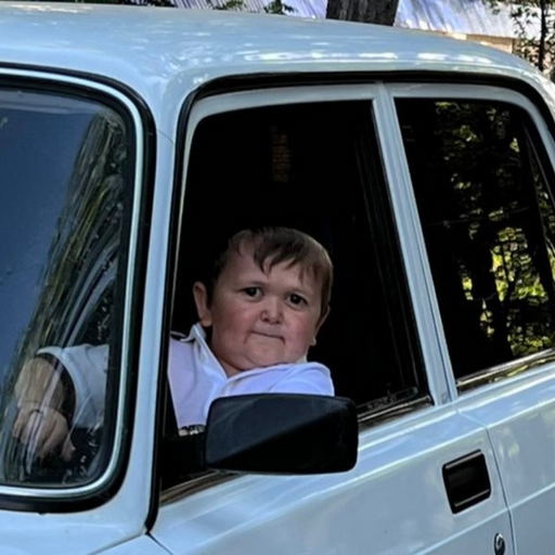 Sticker Maker - Hasbulla