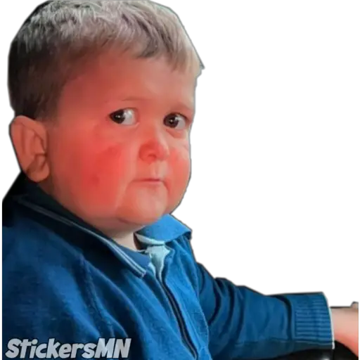 Sticker Maker - Hasbulla Magomedov🤪