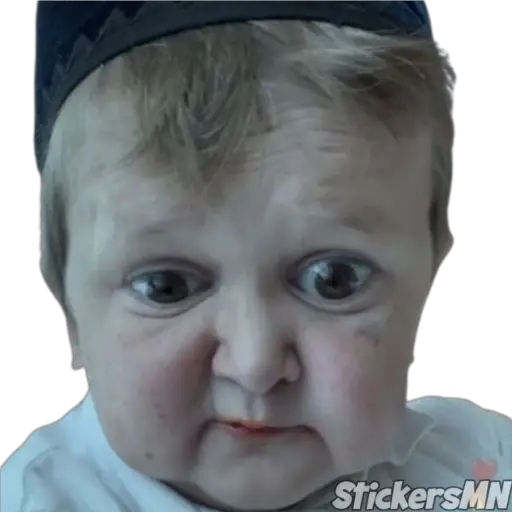 Sticker Maker - Hasbulla Magomedov?