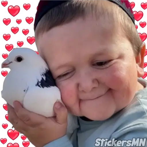 Sticker Maker - Hasbulla Magomedov?