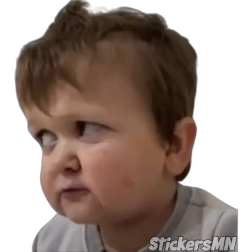Sticker Maker - Hasbulla Magomedov?