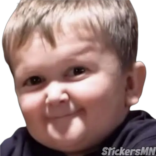 Sticker Maker - Hasbulla Magomedov?