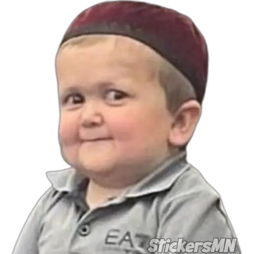 Sticker Maker - Hasbulla Magomedov?