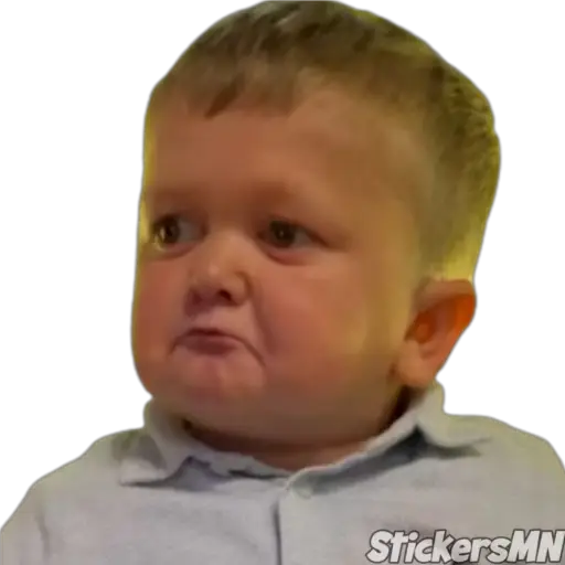 Sticker Maker - Hasbulla Magomedov?