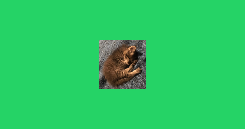 Sticker Maker - HITLEER