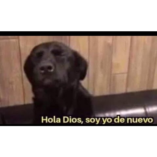 Sticker Maker - hola dios