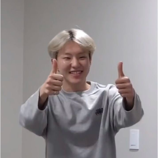 Sticker Maker - Hoshi