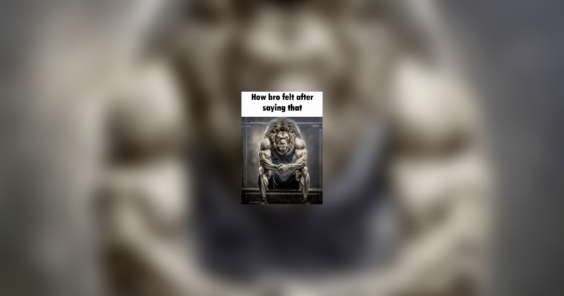 Sticker Maker - how bro felt after saying that