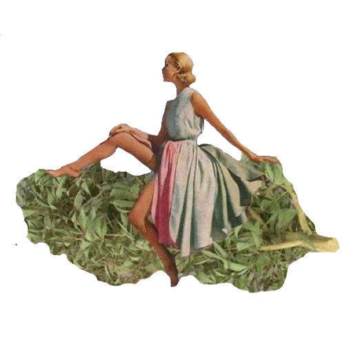 Sticker Maker - Humo 2