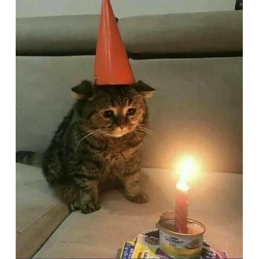 Sticker Maker - hyper_cats