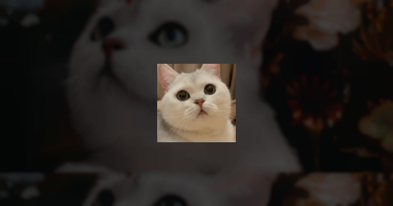 Sticker Maker - IG: @Mashu.cat