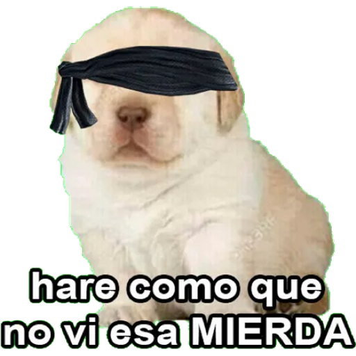 Sticker Maker - INDIFERENCIA