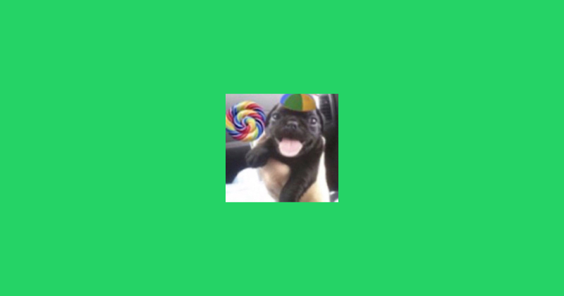 Sticker Maker - insta gif 4 202601