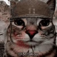 Sticker Maker - insta gif 4 202601