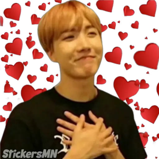 Sticker Maker - J-Hope??‍?BTS