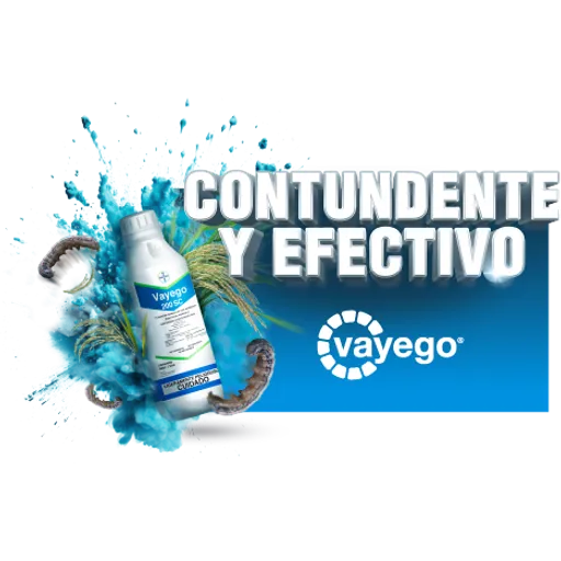 Sticker Maker - JDM_Bayer