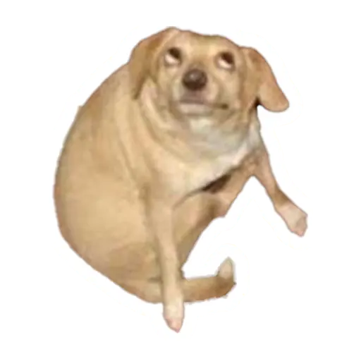Sticker Maker - J&H Sticker Pack II