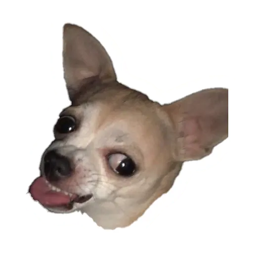 Sticker Maker - J&H Sticker Pack II