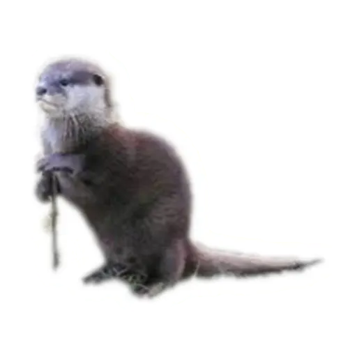Sticker Maker - J&H Sticker Pack IV