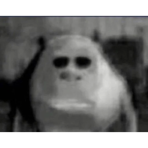 Sticker Maker - jhgf