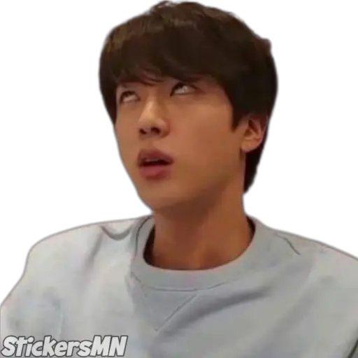 Sticker Maker - Jin - BTS