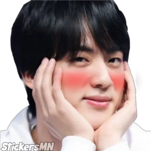 Sticker Maker - Jin - BTS