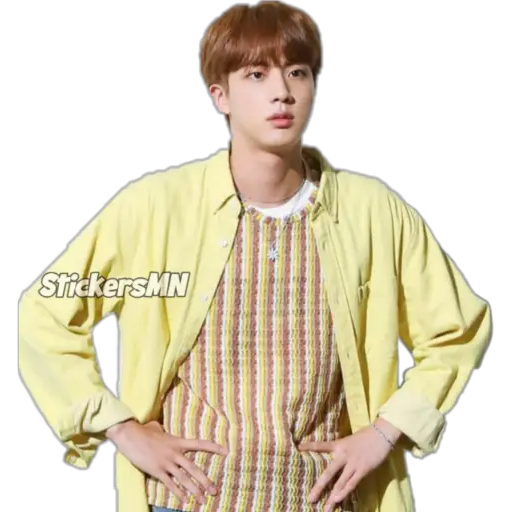 Sticker Maker - Jin - BTS