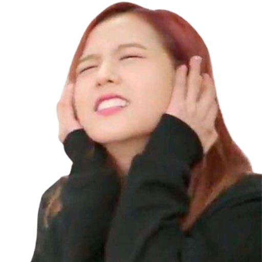 Sticker Maker - Jisoo Iconic Meme